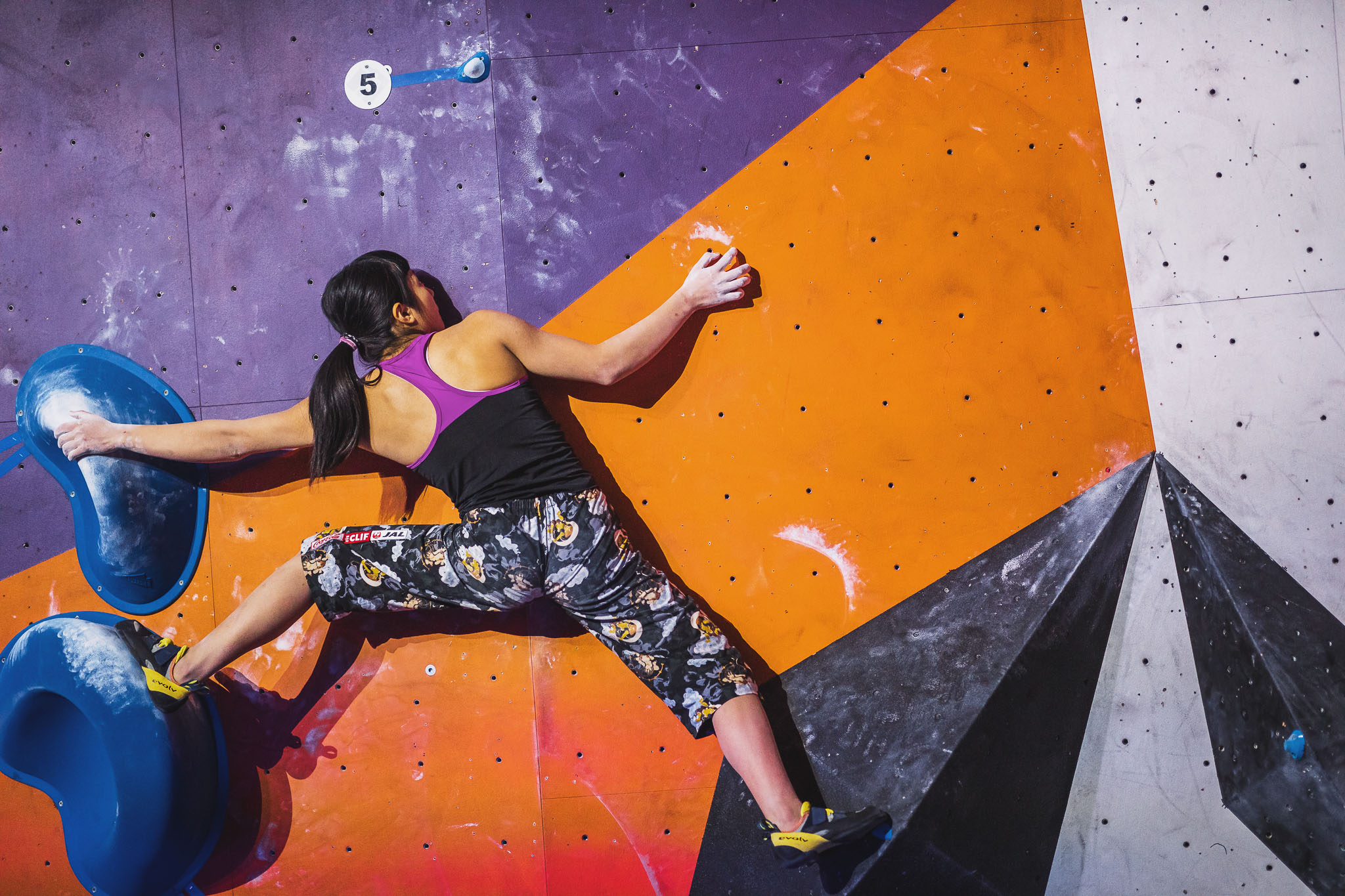 Ascent Studio | Climbing & Fitness